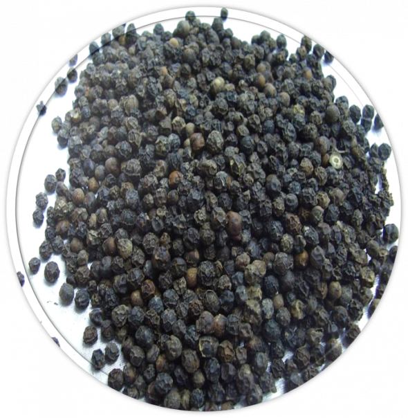Black Pepper 500/550/570/580/600 (G/L) – NAM SON PHU THO COMPANY LIMITED
